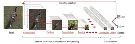 How To Choose The Best Pre Trained Model For Your Convolutional Neural Network Data Science Blog