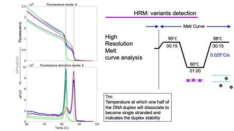 Td Pcr And Hrm Veterinary Resources