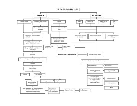 Pathophysiology Of Cva Pdf
