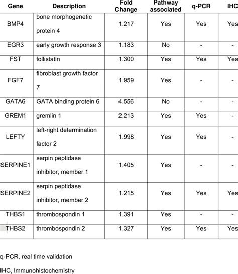 Common Genes Belonging To The Selected Top Functional Categories