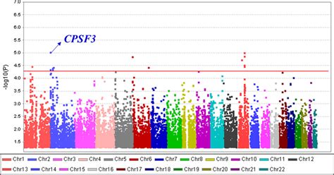 the manhattan plot for gwas of asthma in the korean population this