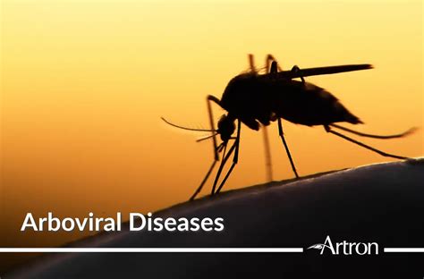 Arboviral Diseases A Growing Threat In The Americas Artron
