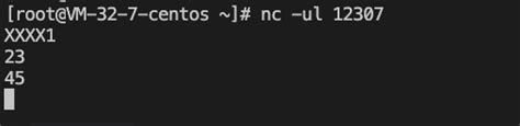 Linux发送tcpudp请求linux发送udp包命令 Csdn博客
