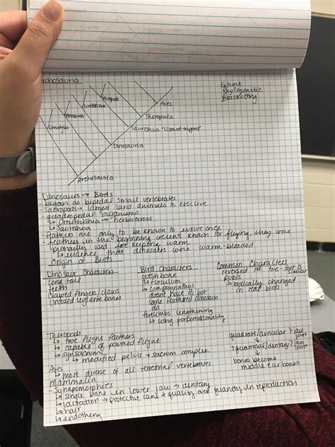 Writing On Grid Paper R Mildlyinteresting