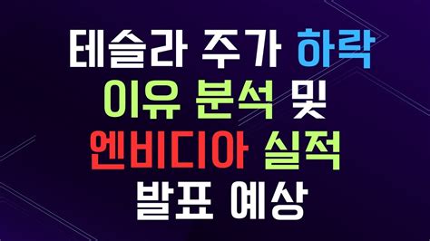 【주식시장】테슬라 주가 하락 이유 분석 및 엔비디아 실적 발표 예상 Youtube