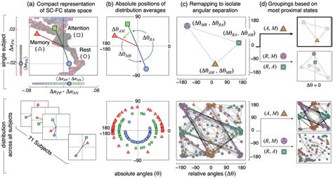 Individual Variability In State Space Relationships Subject Specific