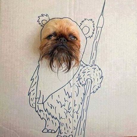 Gil Elvgren Pin Ups Postcard Set Amazon Co Uk Taschen Books