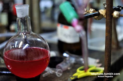 Pictures From An Organic Chemistry Laboratory Photo