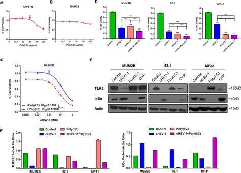 Combined Treatment Re Activates The Tlr3 Mediated Nf ƙb Signaling Download Scientific Diagram