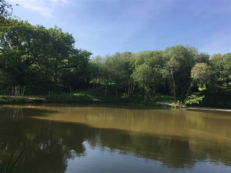 Tinney Waters Camplinq