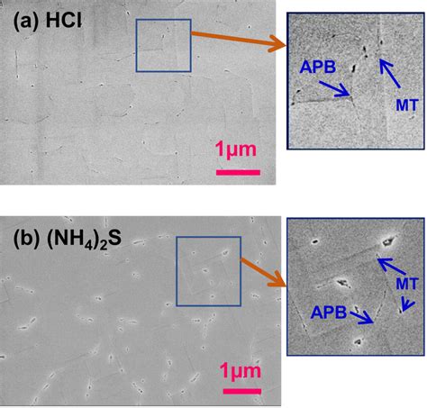 sem micrographs of a hcl and b nh 4 2 s passivated inas gasb