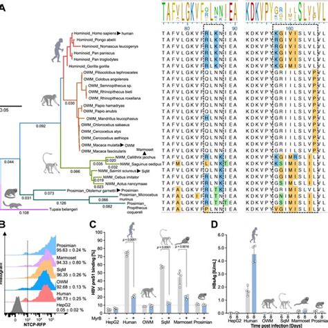Class Distribution Of Wisdm Dataset 13 Download Scientific Diagram Class Distribution Of Wisdm Dataset 13 Download Scientific Diagram