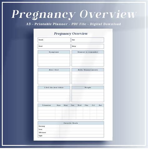 Customizable Planner Templates On Planify Pro