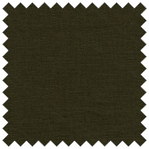 What Color Is Loden