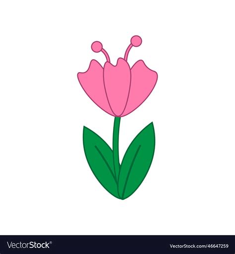 Plant Flower Leaf Royalty Free Vector Image VectorStock
