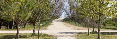 Que Voir Et Que Faire à Pinarella — Turismo Comune Di Cervia