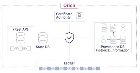 Exploring The Orion Blockchain Database