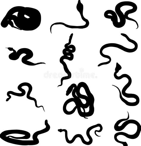 Poisonous Snakes And The Python Stock Vector Illustration Of Fierce