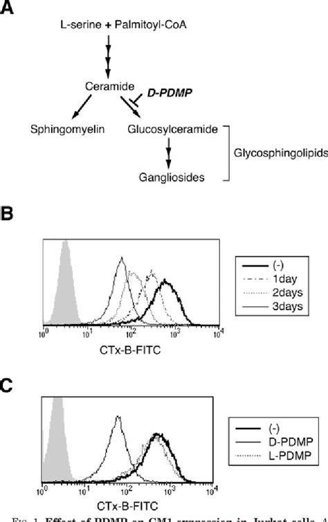 Platelet Derived Microparticle Semantic Scholar