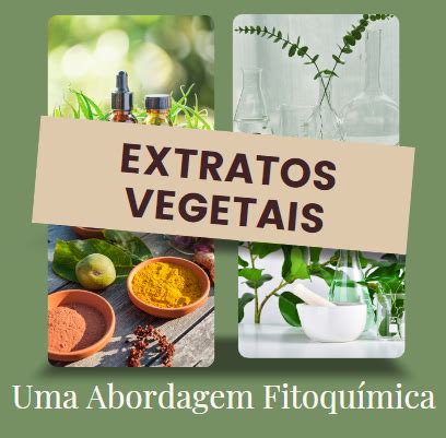 Extratos Vegetais Uma Abordagem Fitoquímica Vivi Ferronatto Fit