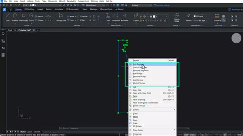 polyline editing in bricscad