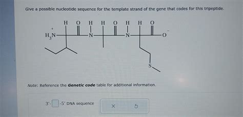 Solved Give A Possible Nucleotide Sequence For The Template