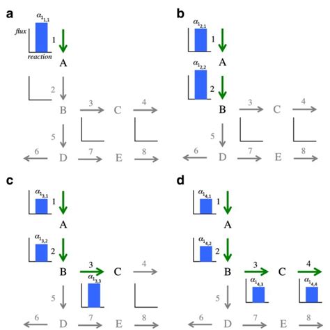Small Metabolic Network With Non Steady State Fluxes From Time Point 1