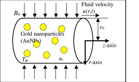 Physical Geometry Of The Fluid Flow Download Scientific Diagram