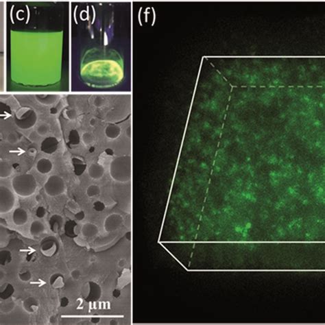 Digital Micrographs Obtained For A An Aqueous Dispersion Of Download Scientific Diagram