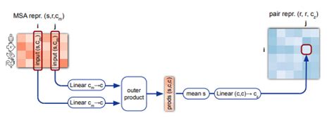 alphafold2代码模块简要分析 msa representation和pair representation csdn博客