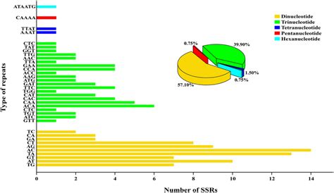 The Distribution Of Polymorphic Nuclear Simple Sequence Repeats Nssrs