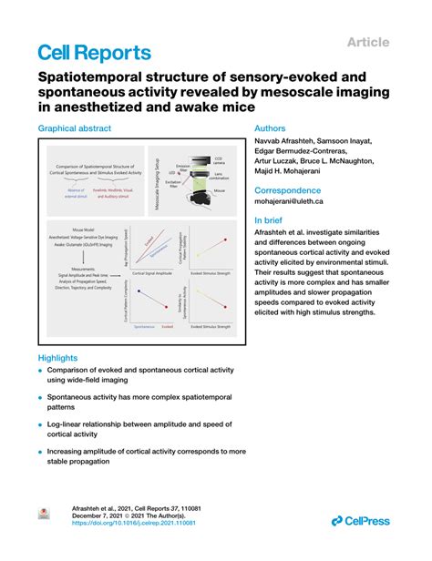Pdf Spatiotemporal Structure Of Sensory Evoked And Spontaneous Activity Revealed By Mesoscale