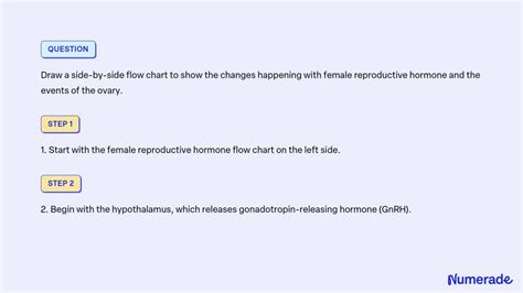 SOLVED Draw A Side By Side Flow Chart To Show The Changes Happening With Female Reproductive