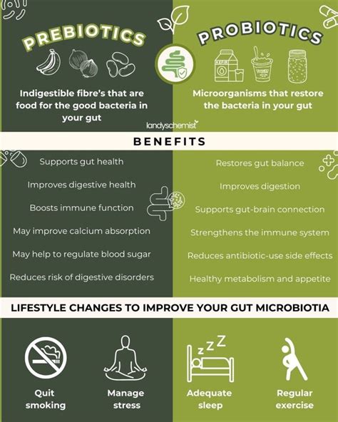 Can You Take Prebiotics And Probiotics Together Prebiotics And