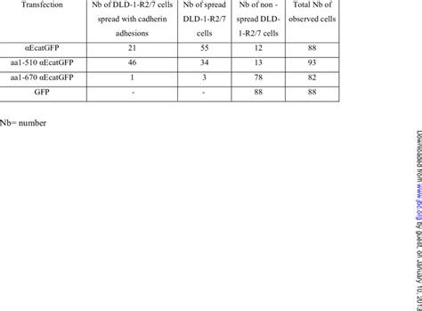 Quantification Of The Effect Of The αe Catenin Mutants On Cadherin Download Table