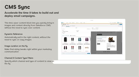 Introducing Salesforce Cms Connect And Cms Sync Horizontal Digital