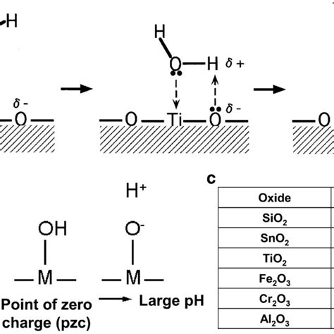 4 Formation Of Surface Hydroxyl Groups On Titanium Oxide By The Download Scientific Diagram
