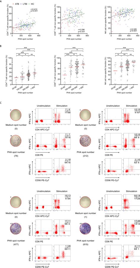 Lymphocyte Non Specific Function Detection Facilitating The Stratification Of Mycobacterium