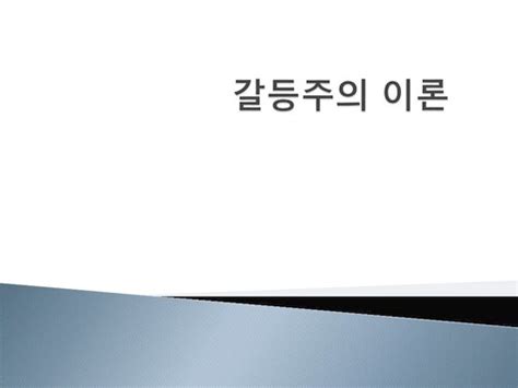 갈등주의 이론 보고서