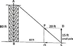 CBSE Class Maths Case Study Based Questions CSQ Questions