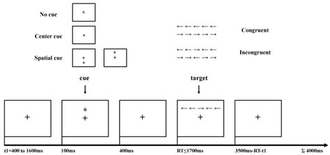Schematic Overview Of The Attention Network Test Ant Adopted In This
