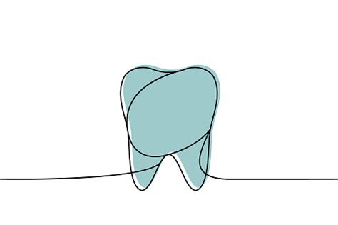 인간의 치아 한 줄 색깔 연속 그림 인간 장기 연속 다채로운 한 줄 그림 벡터 미니멀리스트 선형 일러스트레이션 이빨에 대한 스톡 벡터 아트 및 기타 이미지 Istock