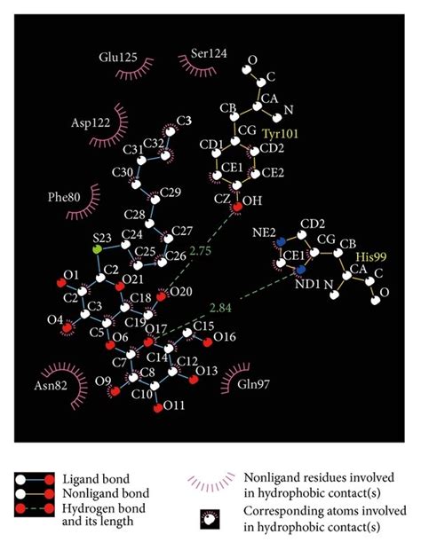 Docking Poses By The Ligplot Program A Wenyujinoside B