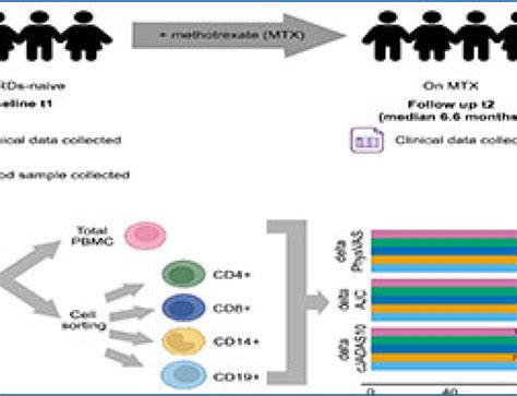 Reducing Small Rna Sequencing Biases Rna Seq Blog