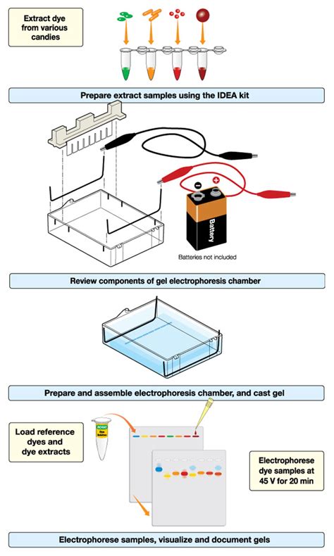 Stem Electrophoresis Kit Life Science Education Bio Rad