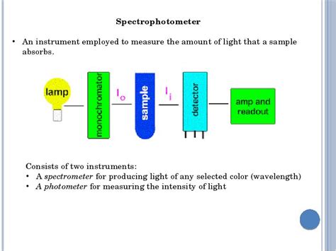Quantification Of Dna