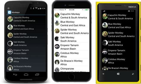 Elegant Circle Images In Xamarinforms Xamarin Blog Microsoft