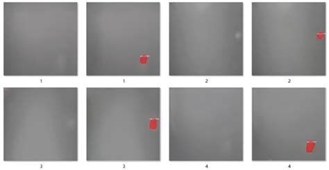 The Detection Results Using The Mask Rcnn Method Download Scientific