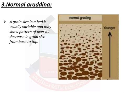 Primary Sedimentary Structures Pptx