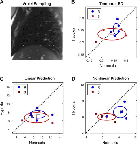 Lung Flow Dynamics At Dorothy Ledford Blog